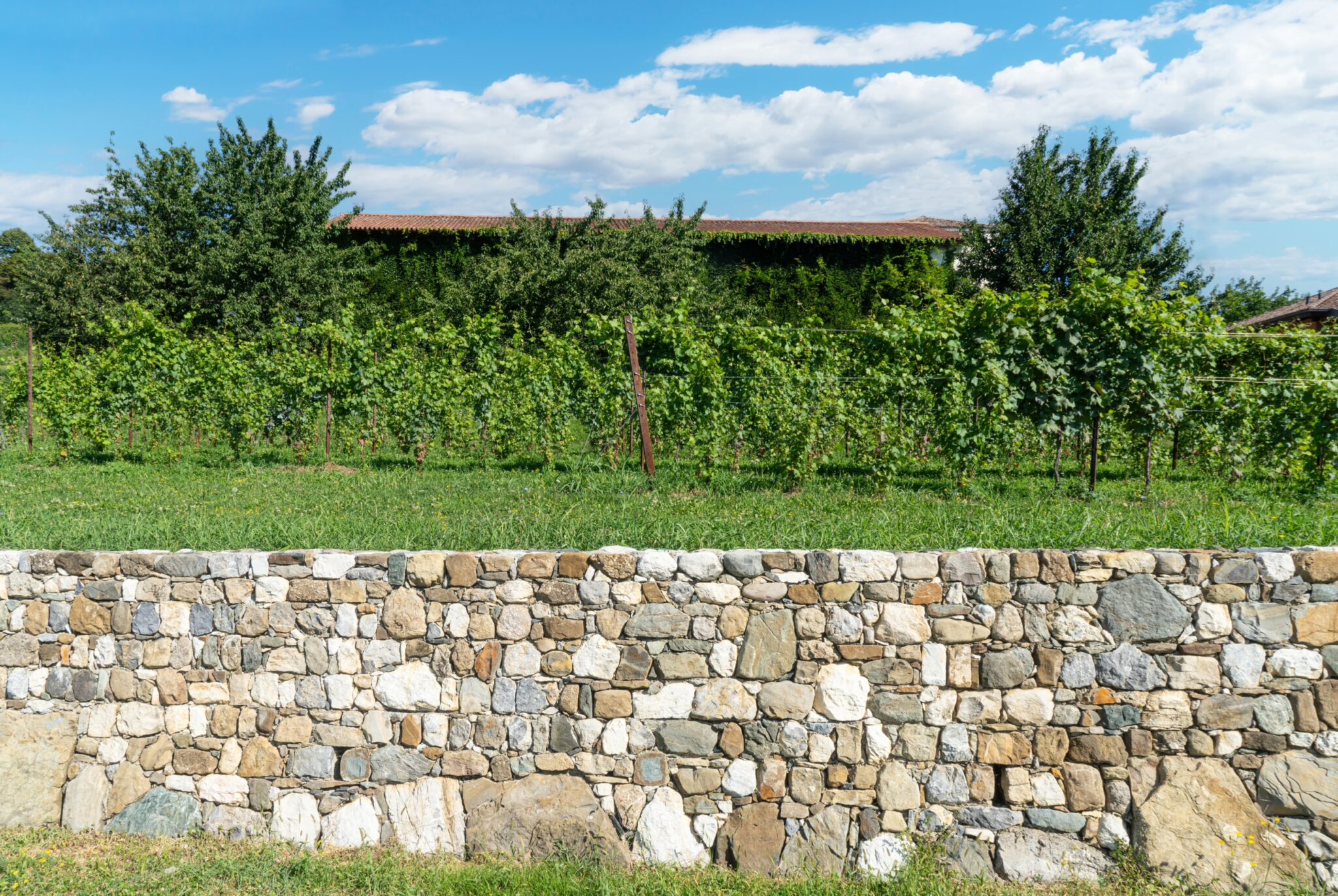 Do You Need a Retaining Wall? Key Signs and Situations - Rich's ...
